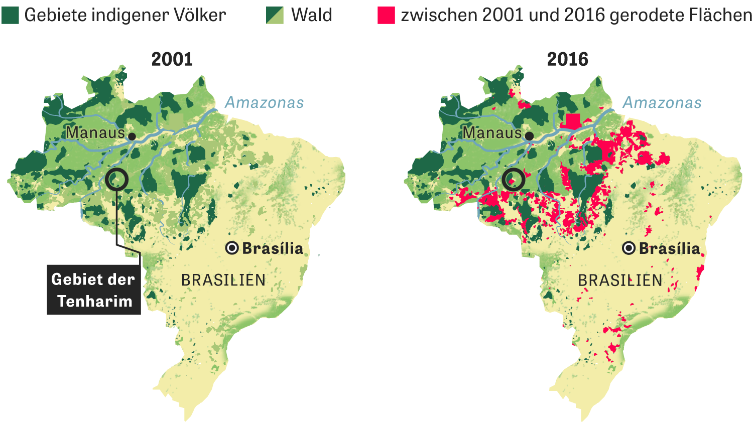 Amazonas-Volk: Die Bedeutung des Waldes | ZEIT ONLINE