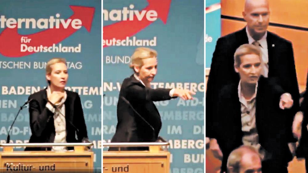 Alice Weidel: "Hauen Sie ab!" | DIE ZEIT