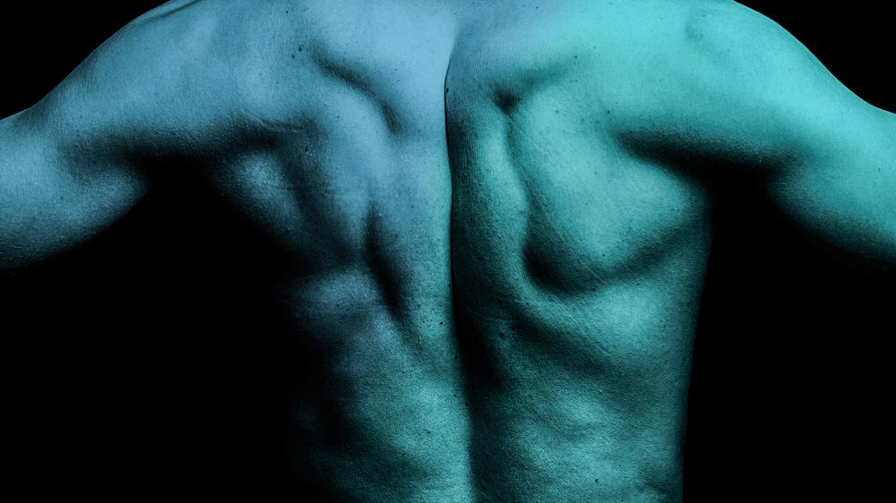 Symbolik des Rückens: "Eine Grenze zwischen Begehren und Abscheu" | DIE ...
