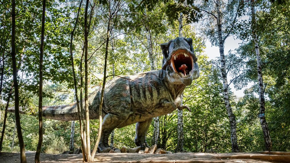 Dinosaurier: Die Neuro-Monster | ZEIT ONLINE