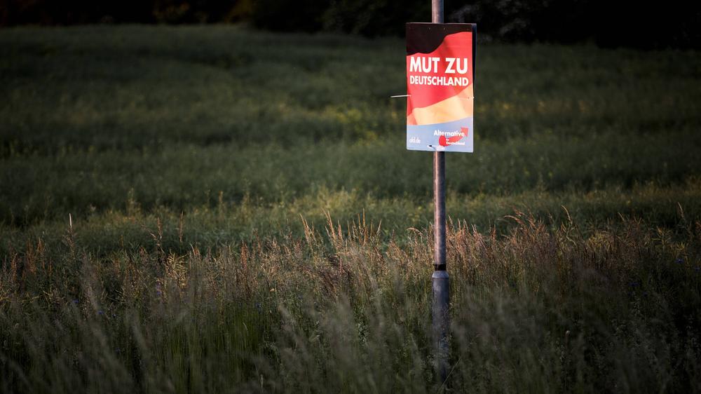 Afd In Ostdeutschland Rechtsdraußen Zeit Online