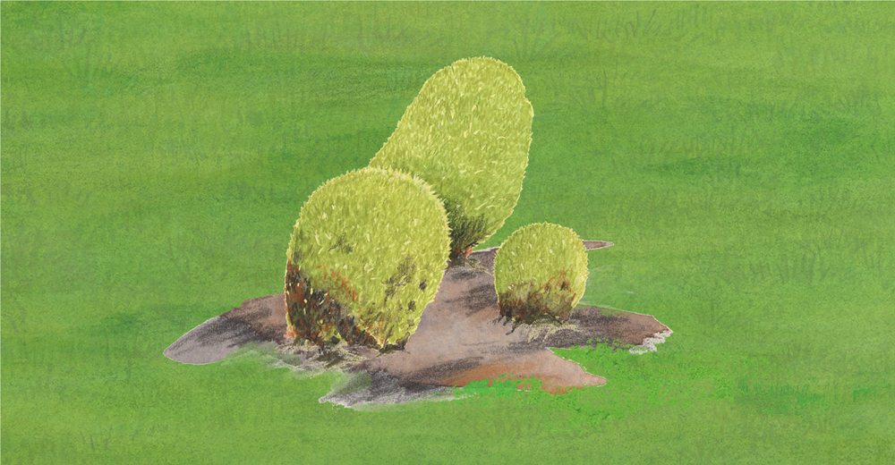 Moose: Lebenskünstler | ZEIT ONLINE