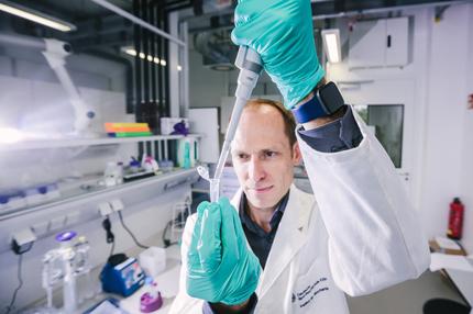 Fußball-EM: News zur Europameisterschaft | ZEIT ONLINE