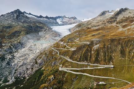 Dr. Peter Neumann | Autoren | DIE ZEIT