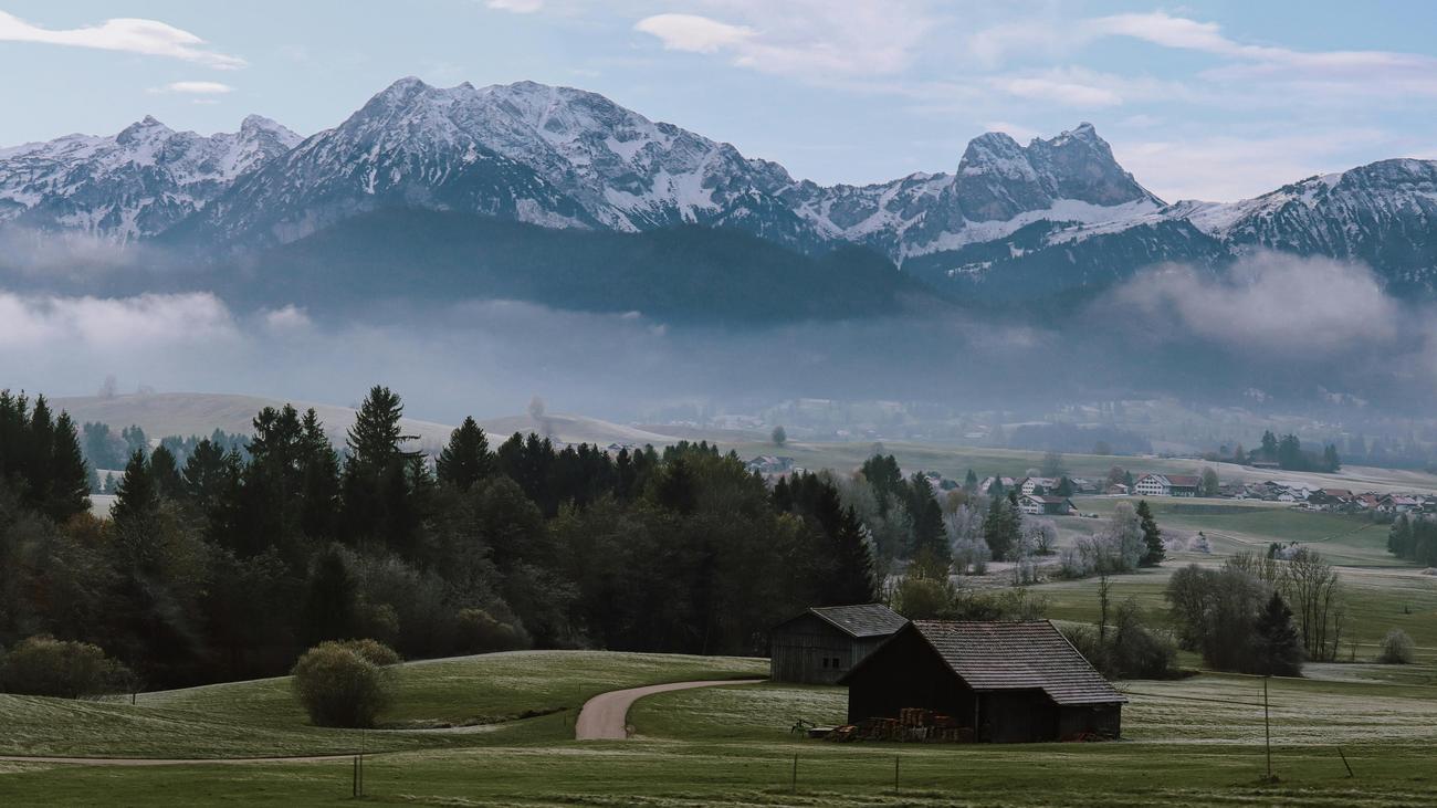 Freizeit & Kultur | DIE ZEIT