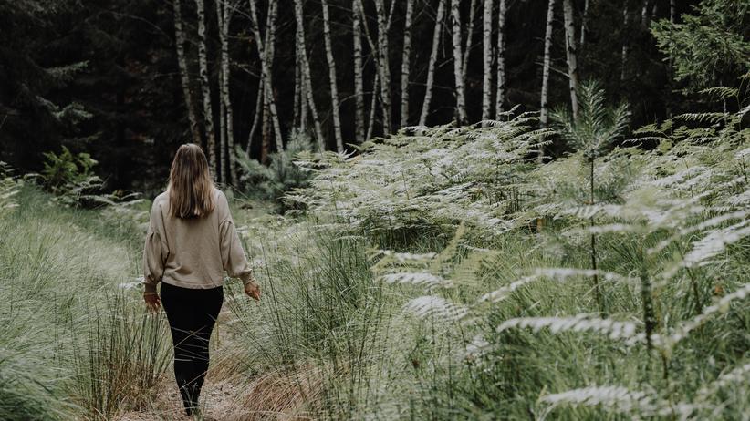 James Suzman: "Die meisten Menschen müssten nicht so viel arbeiten, wie ...