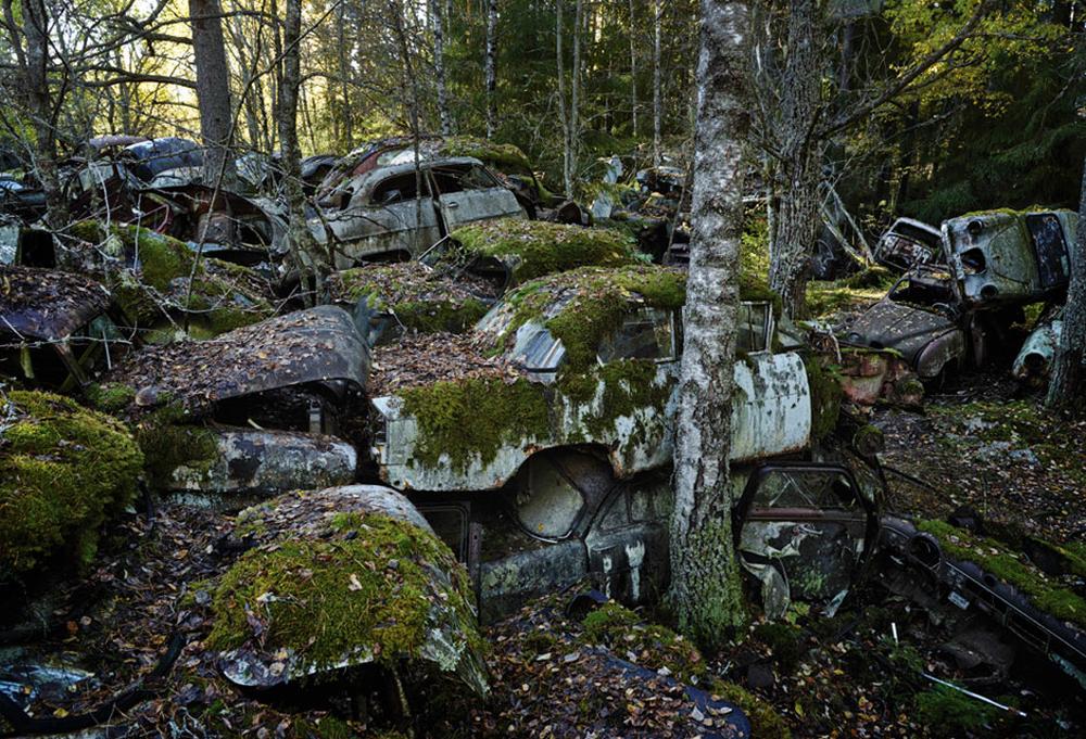 Autofriedhof: Letzte Ausfahrt Unterholz | DIE ZEIT