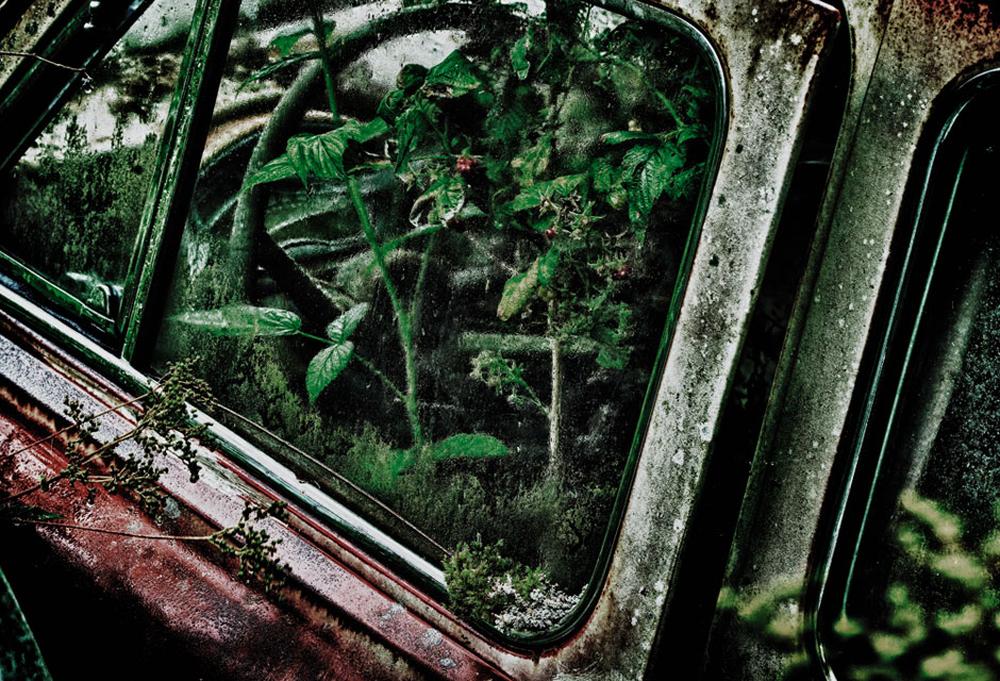 Autofriedhof: Letzte Ausfahrt Unterholz | DIE ZEIT