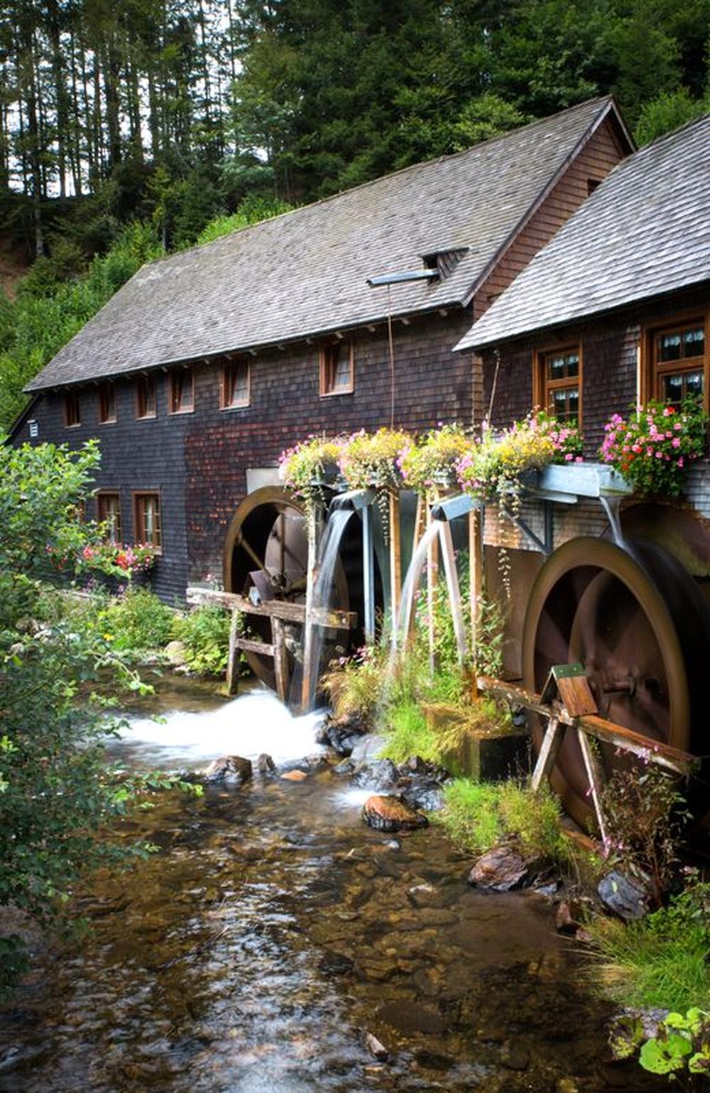 ZEIT Germany: German Weltanschauung | ZEIT Campus