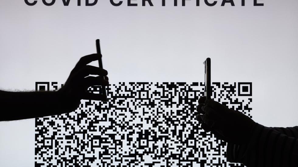 Corona-Warn-App und die Luca-App: Corona-Apps kamen als Notfallhelfer ...