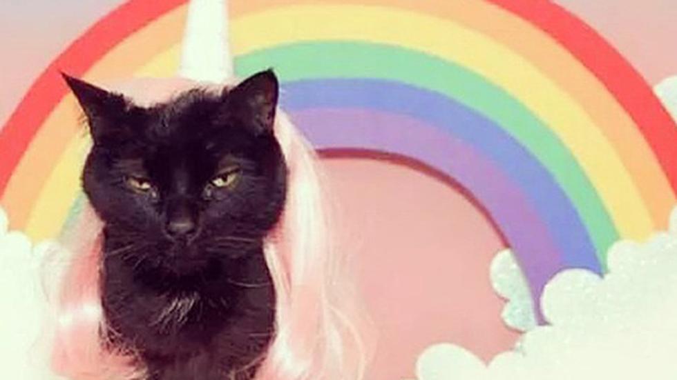 YouTube: Das hat die Welt noch nicht gesehen | ZEIT ONLINE