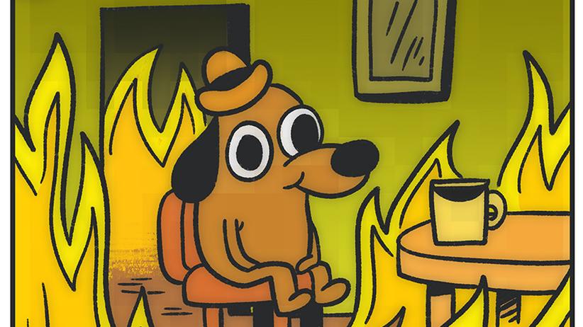Meme: Hunde, wollt ihr ewig brennen | ZEIT ONLINE