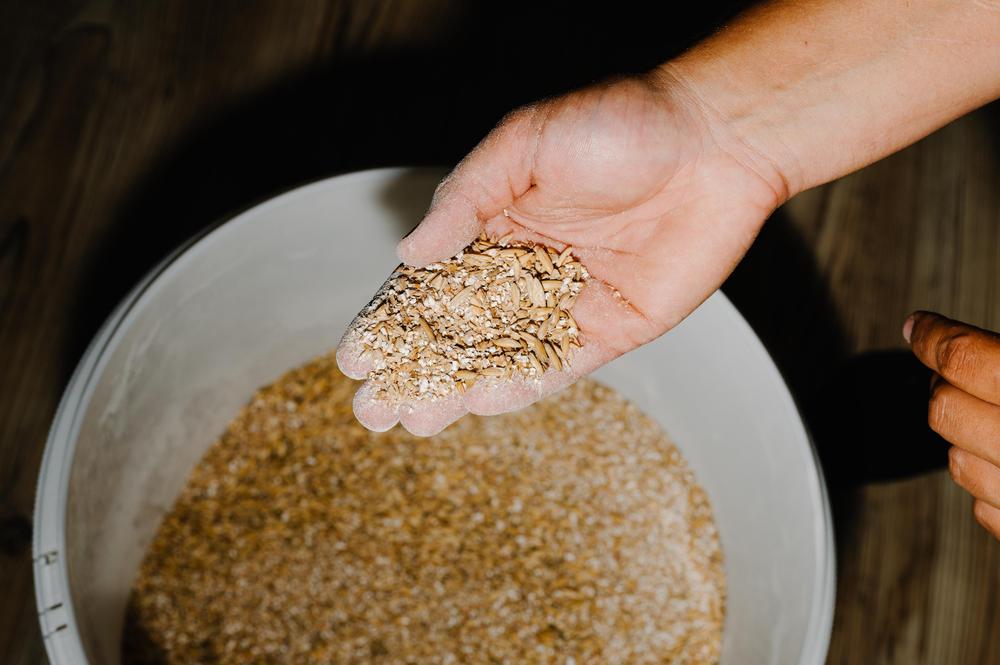 Bier selber brauen: Die Magie des Brauens | DIE ZEIT