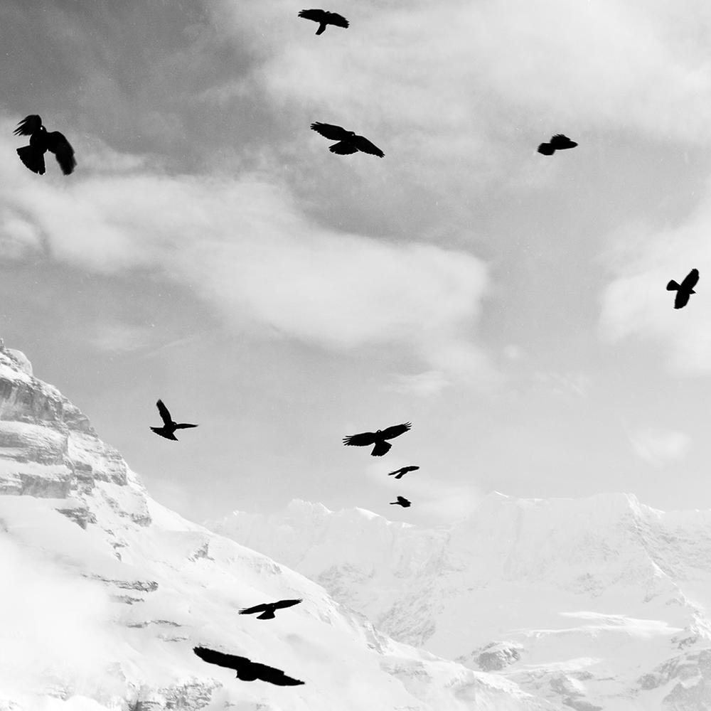 Alpen: Oben, wo der Mensch egal ist | DIE ZEIT