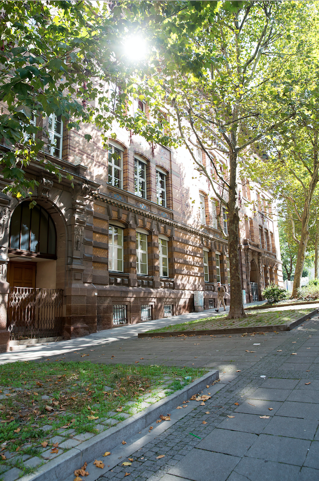 Bohnenviertel und Heusteigviertel: Beste Schräglage | ZEIT ONLINE