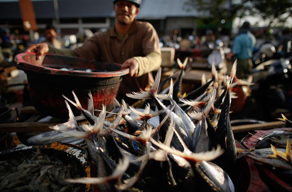 Indonesien: Leben mit der Scharia in Aceh | DIE ZEIT
