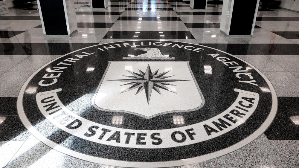 WikiLeaks: 40 Jahre Haft für CIA-Programmierer wegen Weitergabe von ...