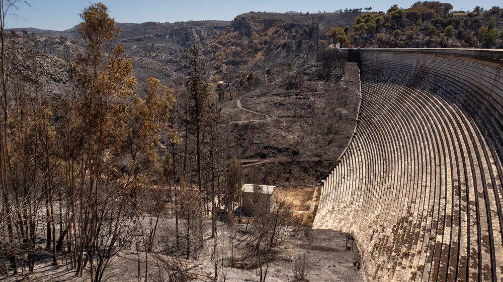 Waldbrände in Griechenland: Mit Gartenschläuchen gegen die Feuerfront ...