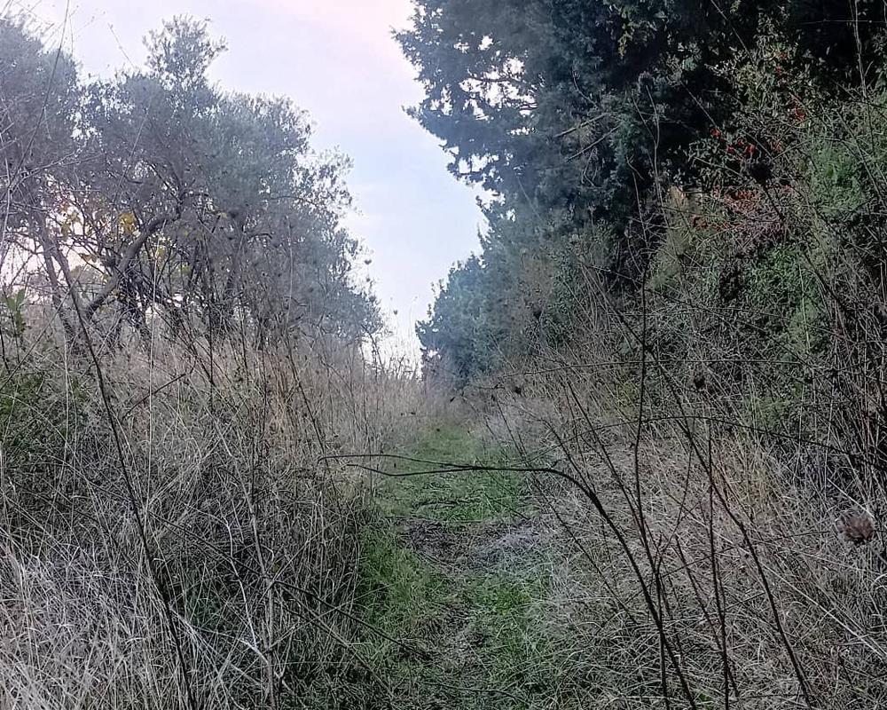 Alawiten in Syrien: "Wir können weder fliehen noch zurückkehren" | DIE ZEIT