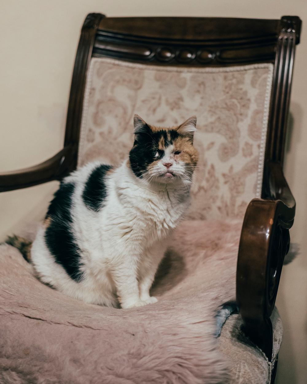 Concentration Camp Duty: The Last SS Guard | DIE ZEIT