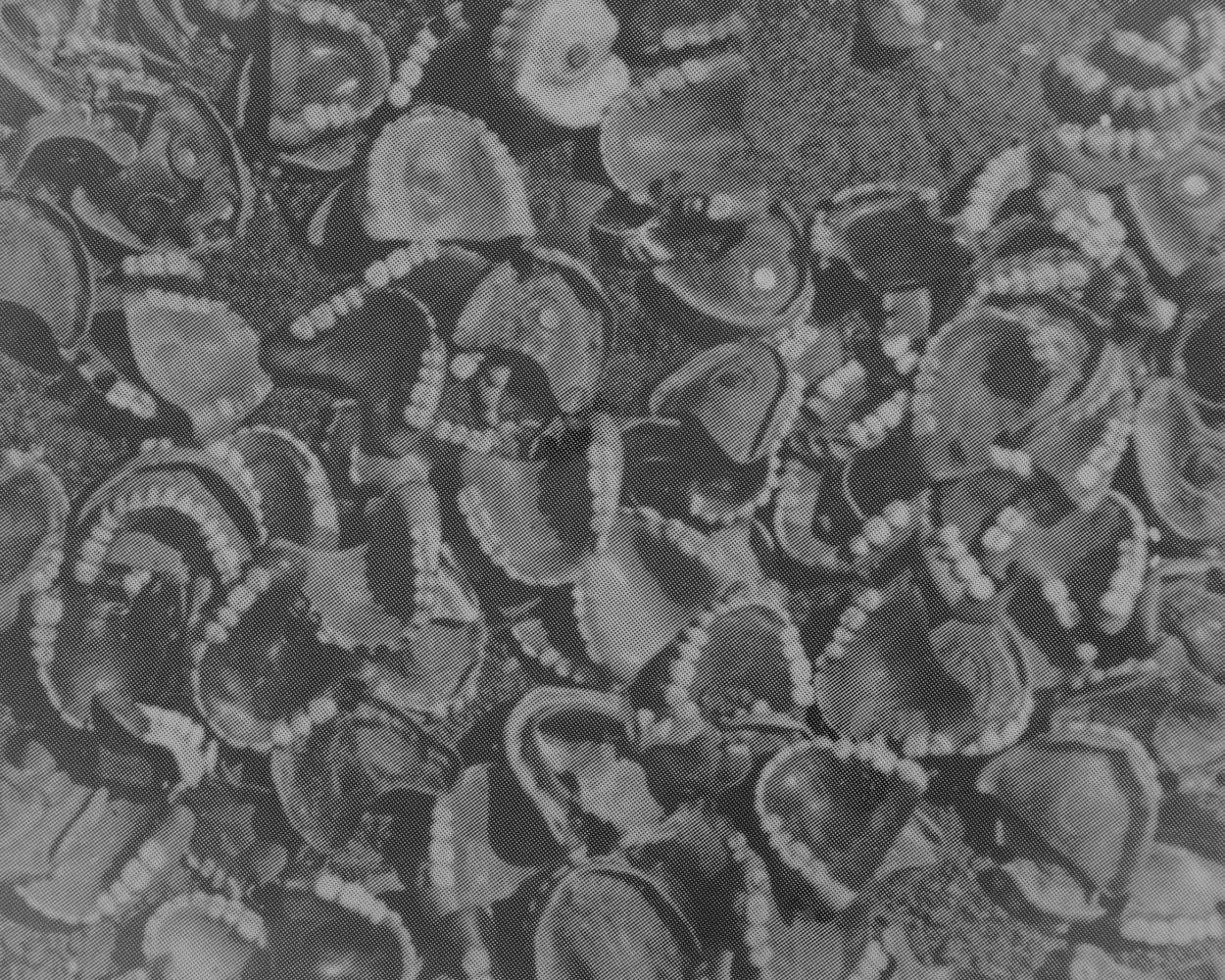 KZ-Wachmann: Der letzte SS-Wachmann | DIE ZEIT