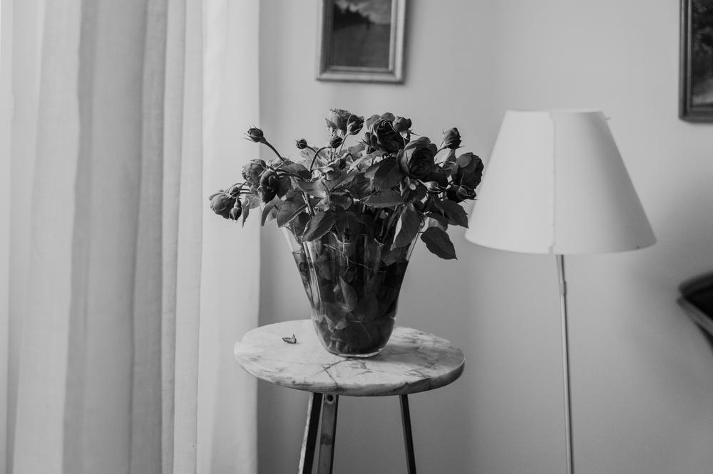 Christiane Nüsslein-Volhard: Christiane Nüsslein-Volhard, warum ist ...