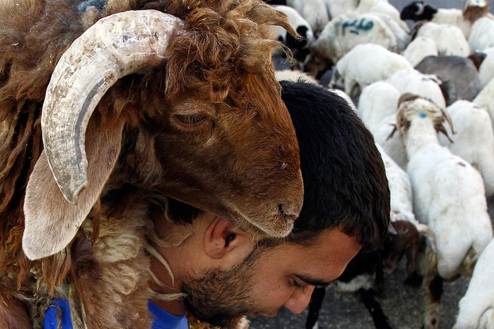 Bildergalerie Eid al-Adha: Eid al-Adha | DIE ZEIT