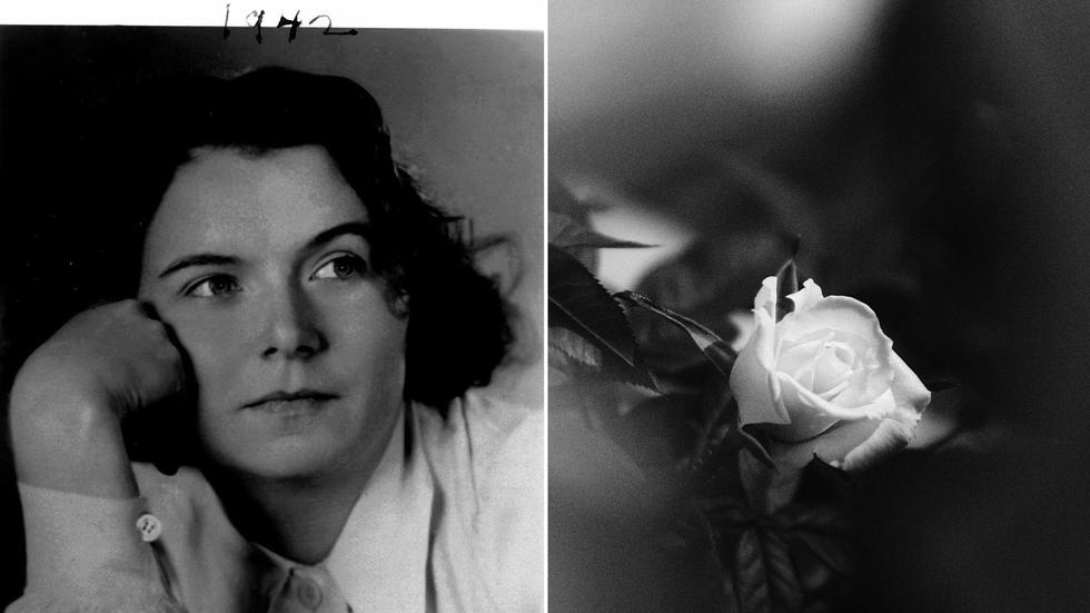 Weiße Rose: Widerstandskämpferin Traute Lafrenz ist gestorben | ZEIT ONLINE