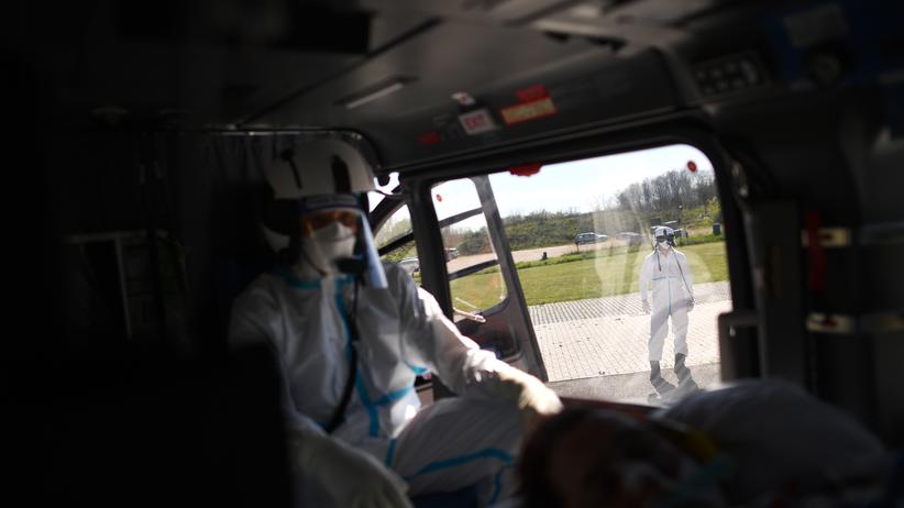 Alisa Schellenberg | Autoren | ZEIT ONLINE