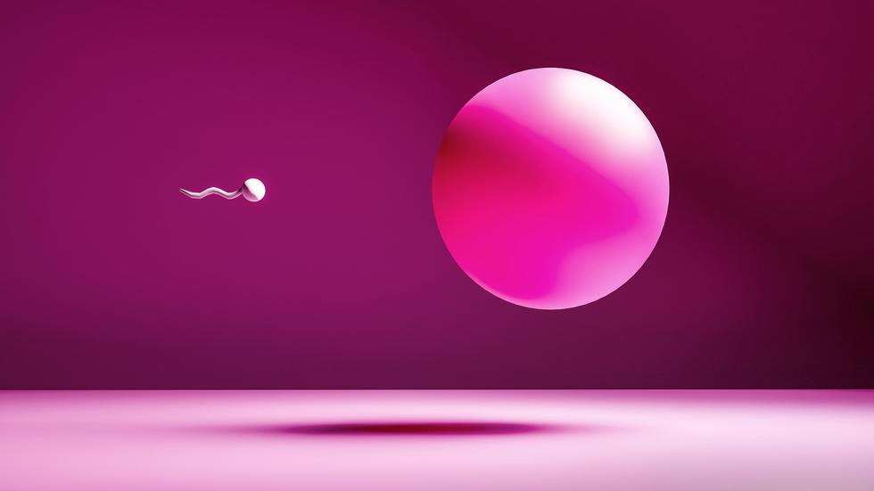 Verhütung Für Den Mann Spermien Sind Sehr Primitive Zellen Zeit Online