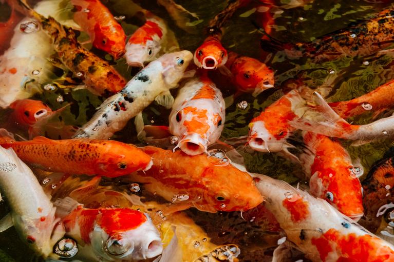 Geiz: Was soll der Geiz? | DIE ZEIT