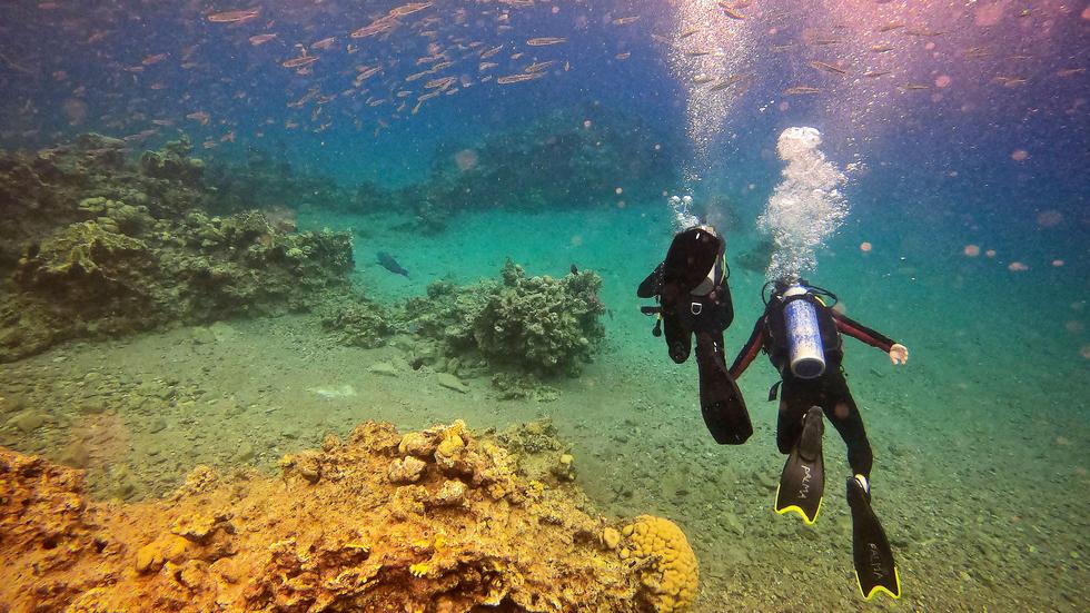 Tauchen: Sie zerstören, was sie lieben | ZEIT ONLINE