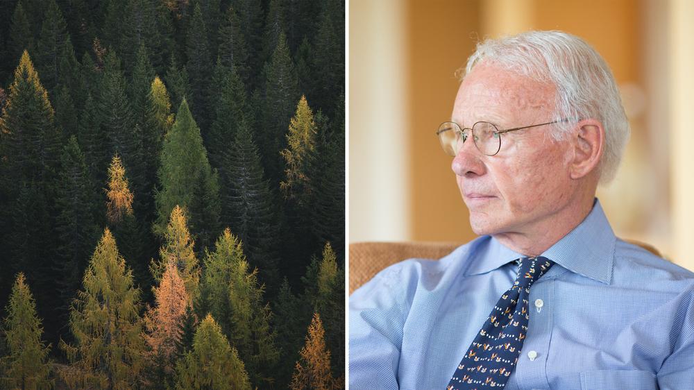 Greenwashing: "Man gratulierte mir zu meinem genialen PR-Stunt! Da ...