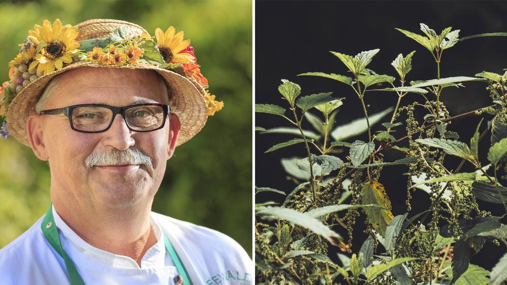 Spreewälder Kräutermanufaktur: Der Retter des Unkrauts | DIE ZEIT