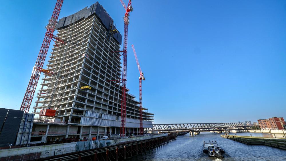 Elbtower: Hier könnten 100.000 Vogelpaare nisten | DIE ZEIT