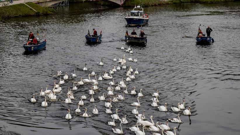 Erck Rickmers : Ein Millionär will Gutes tun – und erntet Häme | DIE ZEIT