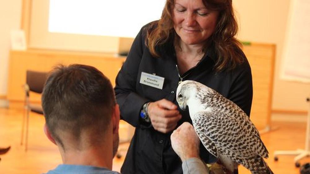 Personalführung: Was Führungskräfte von Adlern lernen können | DIE ZEIT
