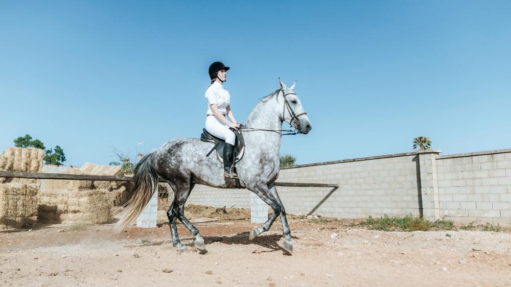 Mensch-Tier-Beziehung: Dürfen wir andere Tiere benutzen? | DIE ZEIT