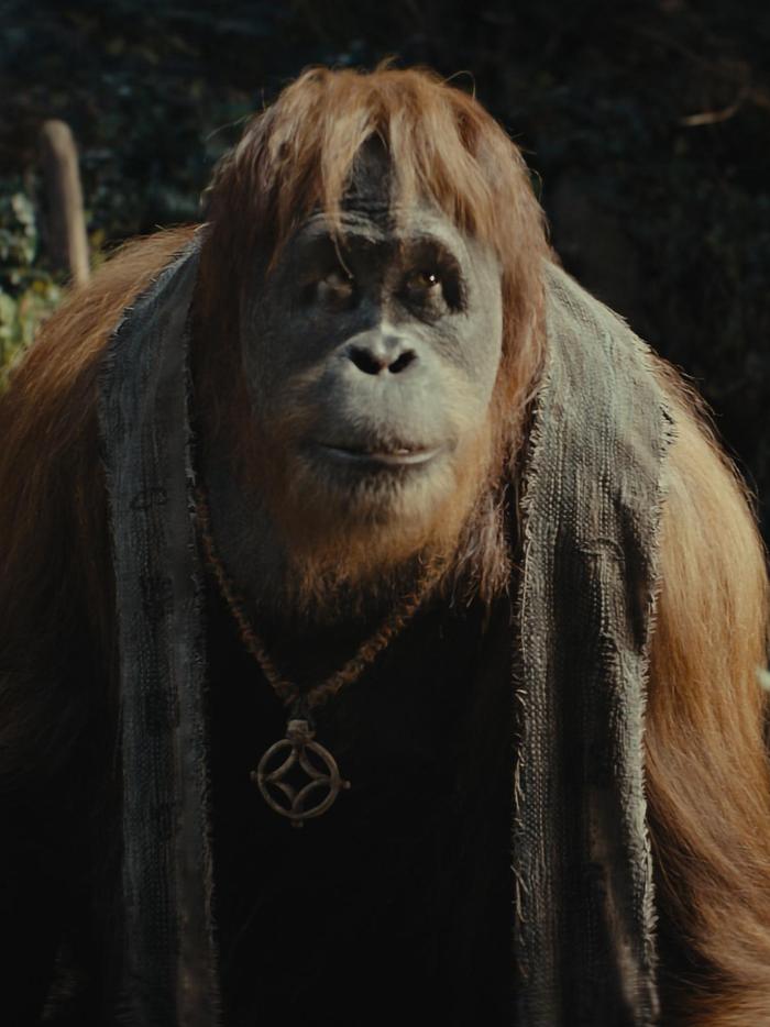 Affen Mit Waffen Kritik Zu Planet Der Affen: New Kingdom | Epd Film