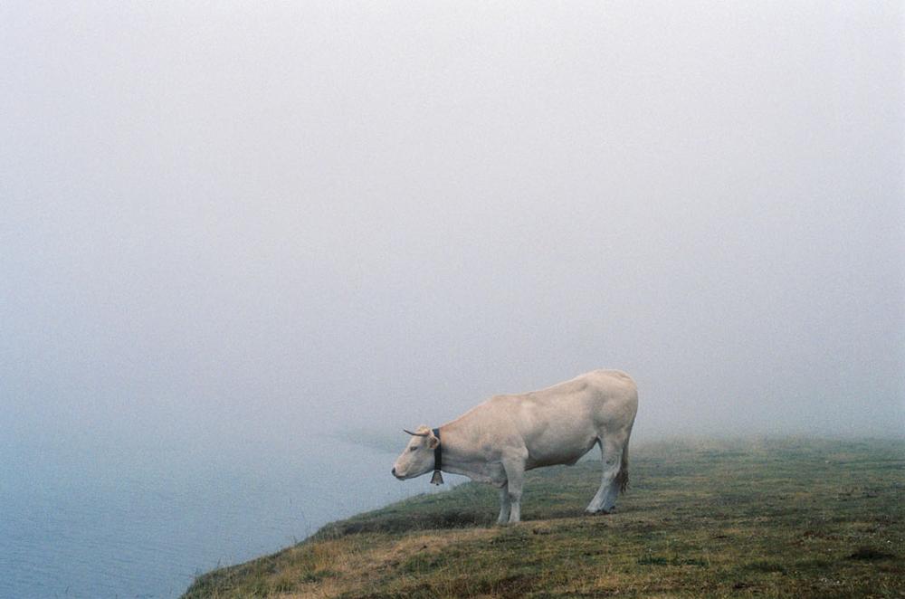 Fotograf Arno Fischer: Des Meisters letzte Klasse | DIE ZEIT