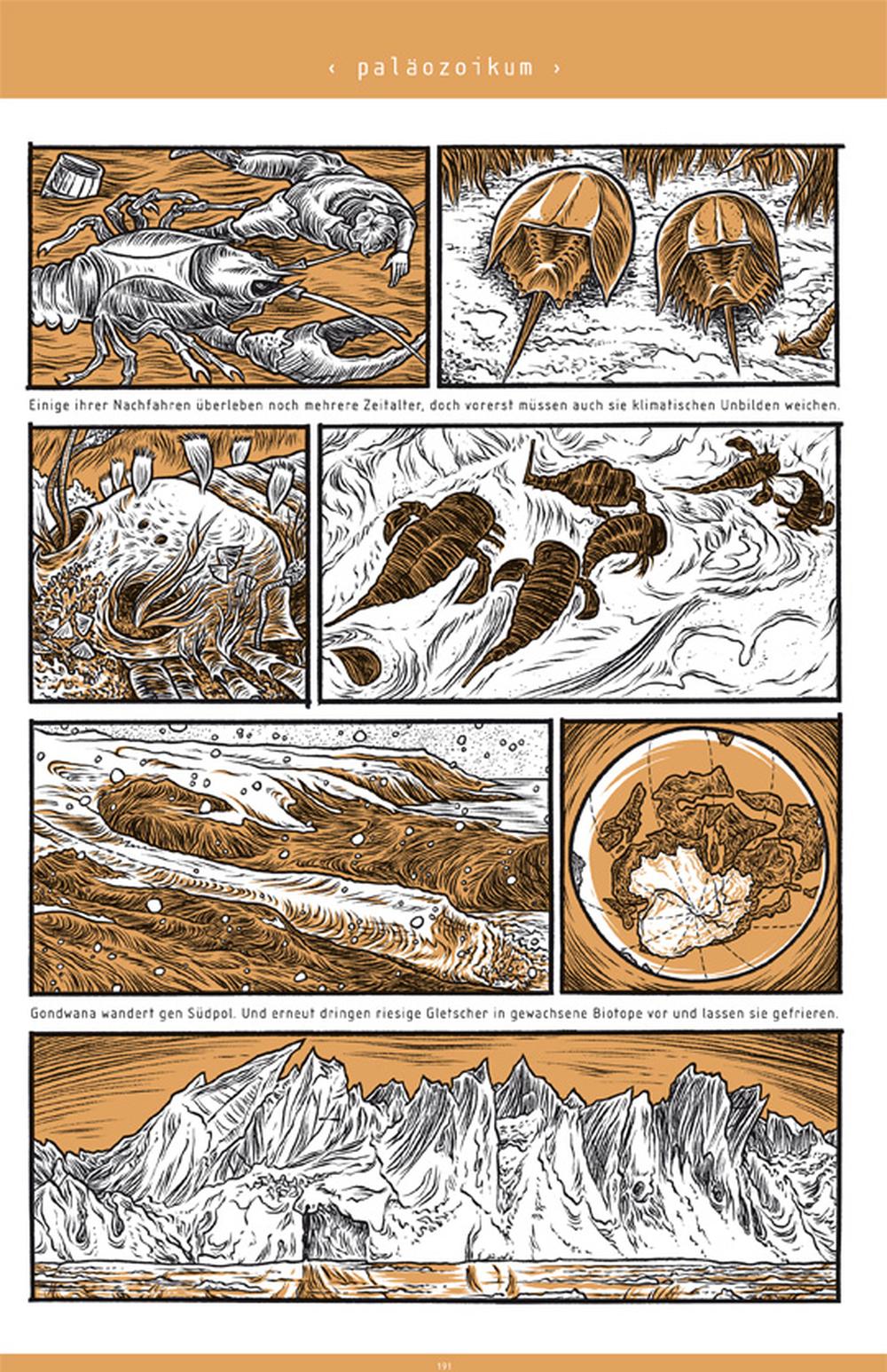 Fotostrecke "Alpha...directions": Vom Urknall zum Homo erectus | DIE ZEIT