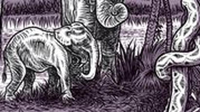 Comic "Alpha...directions": Festschrift der Evolution | DIE ZEIT