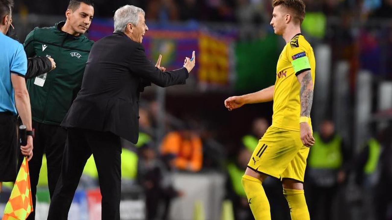 Borussia Dortmund: BVB-Coach Favre vor Job-Showdown gegen Klinsmann ...