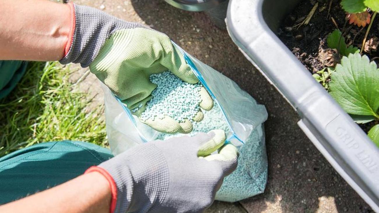 Gartenschutz: Schneckenkorn ohne Metaldehyd ist umweltverträglich ...