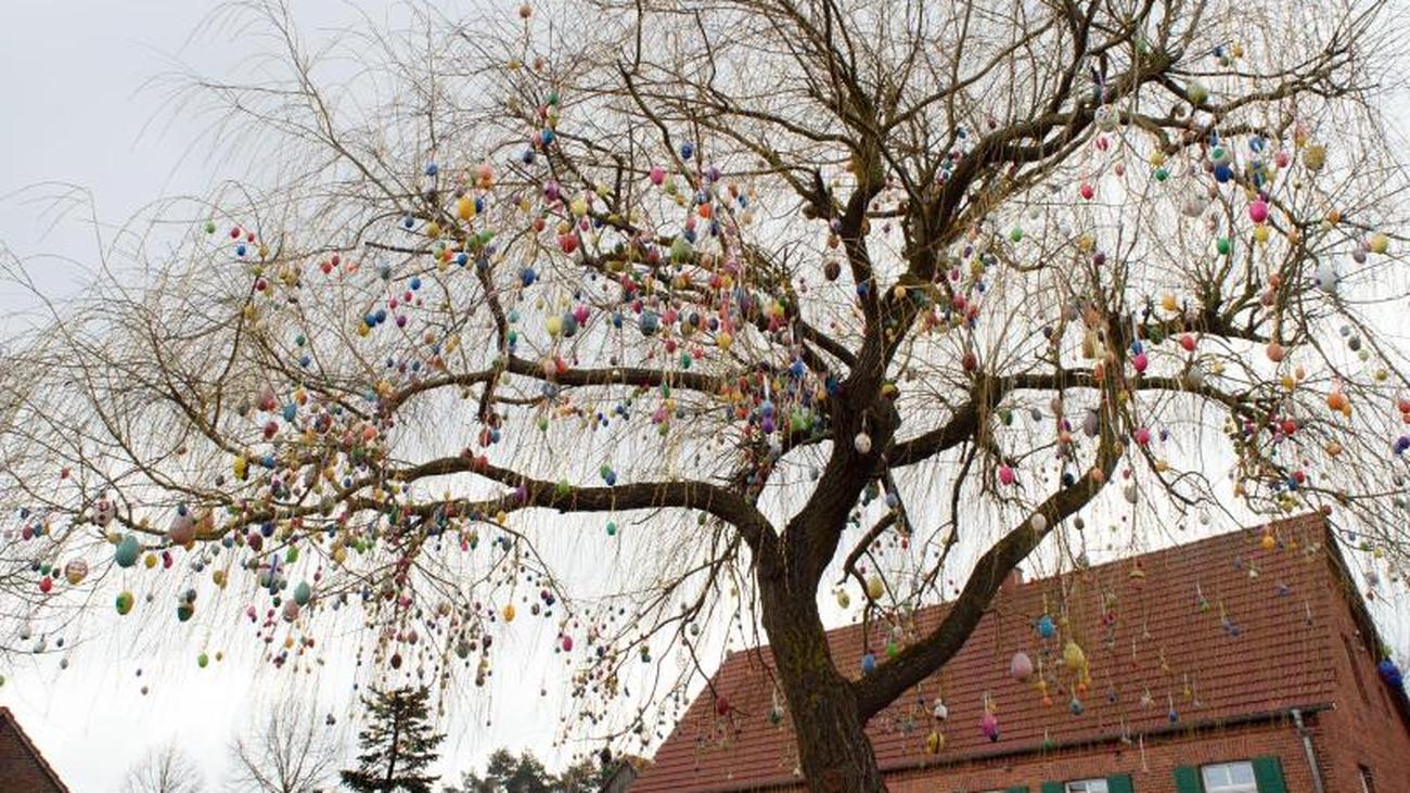 Brauchtum: Der Osterbaum in Wulkau: 1950 Eier für ein Lächeln | ZEIT ONLINE