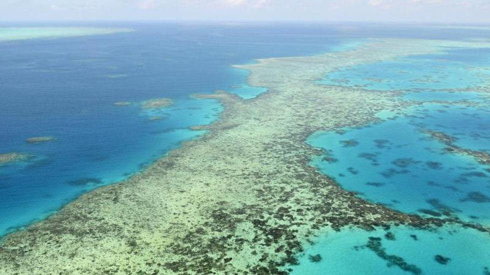Great Barrier Reef: Die Angst um das große Riff: Australien im Visier ...