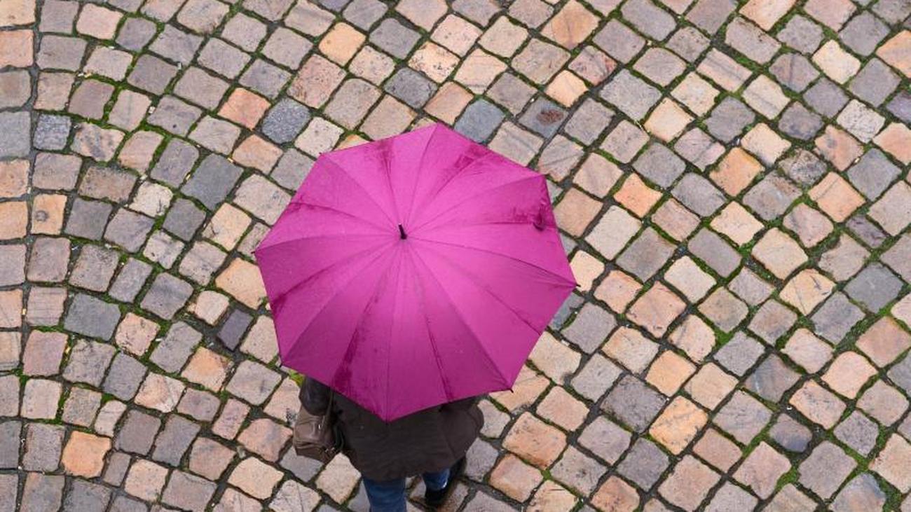 Wetter: Wieder mild und regnerisch in Berlin und Brandenburg | ZEIT ONLINE
