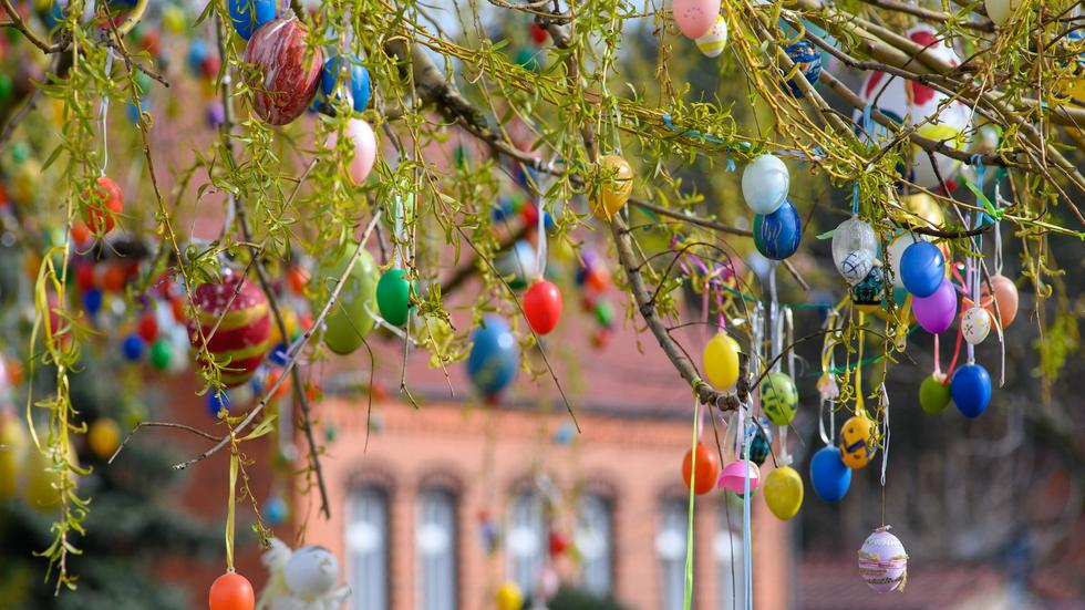 Brauchtum: Wulkau: Osterbaum erneut mit Hunderten bunten Eiern behängt ...