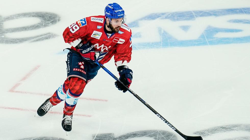 Deutsche Eishockey Liga: Kölner Haie verpflichten Stürmer Bast und ...