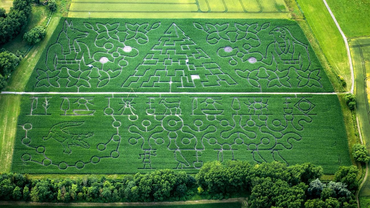 Labyrinth: Mais-Bilderrätsel mit Rekordgröße | DIE ZEIT